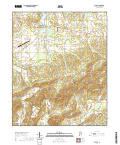 USGS US Topo 7.5-minute map for Ellisville AL 2020 – American Map Store