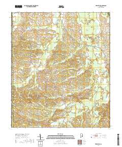 USGS US Topo 7.5-minute map for Fitzpatrick AL 2020 – American Map Store