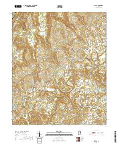 USGS US Topo 7.5-minute map for Nectar AL 2020 – American Map Store