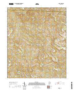 USGS US Topo 7.5-minute map for Newell AL 2020 – American Map Store