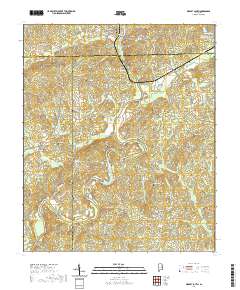 USGS US Topo 7.5-minute map for Wadley South AL 2020 – American Map Store
