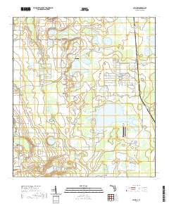 USGS US Topo 7.5-minute map for Alturas FL 2021 – American Map Store