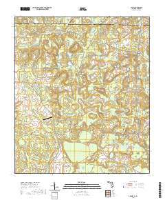 USGS US Topo 7.5-minute map for Gaskin FLAL 2021 – American Map Store