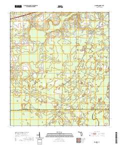 USGS US Topo 7.5-minute map for Manning FL 2021 – American Map Store