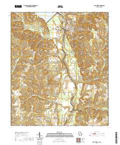 USGS US Topo 7.5-minute map for Fort Gaines GAAL 2020 – American Map Store