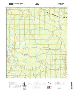 USGS US Topo 7.5-minute map for Pineland GA 2020 – American Map Store