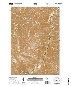 USGS US Topo 7.5-minute map for Artillery Dome ID 2020 – American Map Store