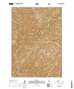 USGS US Topo 7.5-minute map for Yellowjacket ID 2020 – American Map Store