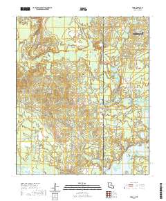 USGS US Topo 7.5-minute map for Trees LATX 2020 – American Map Store