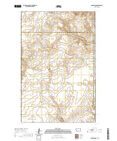 USGS US Topo 7.5-minute map for Homestead NW MT 2020 – American Map Store
