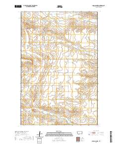USGS US Topo 7.5-minute map for Larson School MT 2020 – American Map Store