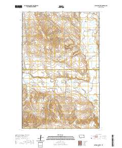 USGS US Topo 7.5-minute map for Nielsen Coulee MT 2020 – American Map Store