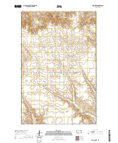 USGS US Topo 7.5-minute map for Reed Springs MT 2020 – American Map Store