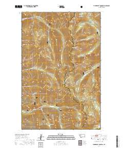 USGS US Topo 7.5-minute map for Thunderbolt Mountain MT 2020 – American ...