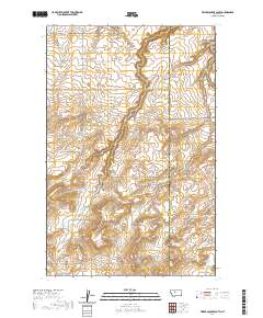 USGS US Topo 7.5-minute map for Timber Coulee South MT 2020 – American ...