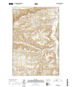 USGS US Topo 7.5-minute map for Turtle Creek MT 2020 – American Map Store