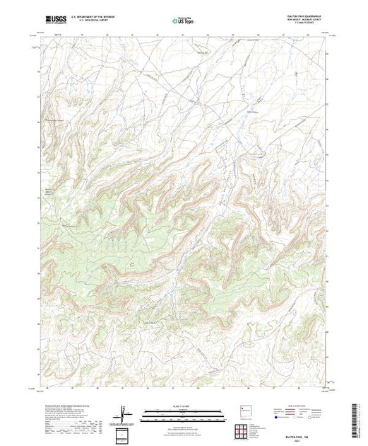 US Topo 7.5-minute map for Dalton Pass NM – American Map Store