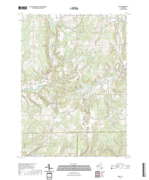 US Topo 7.5-minute map for Bliss NY – American Map Store
