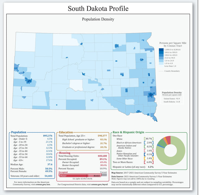 South Dakota Congressional District Wall Map – American Map Store